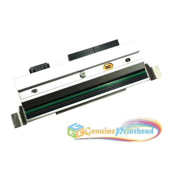 Original Printhead P1004237 For Zebra170XI4 ze500-6 300DPI thermal