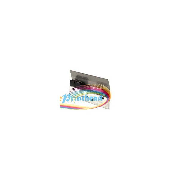 Wasp 203 dpi Printhead for WPL205 WPL305 Printer